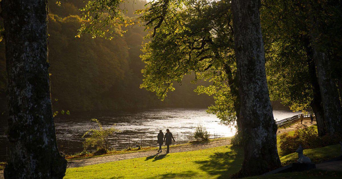 Supporting Big Tree Country