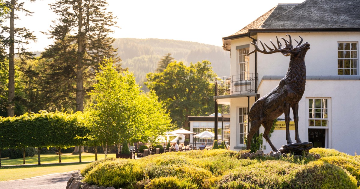 Restaurant in Dunkeld | The Stag in Dunkeld House Hotel